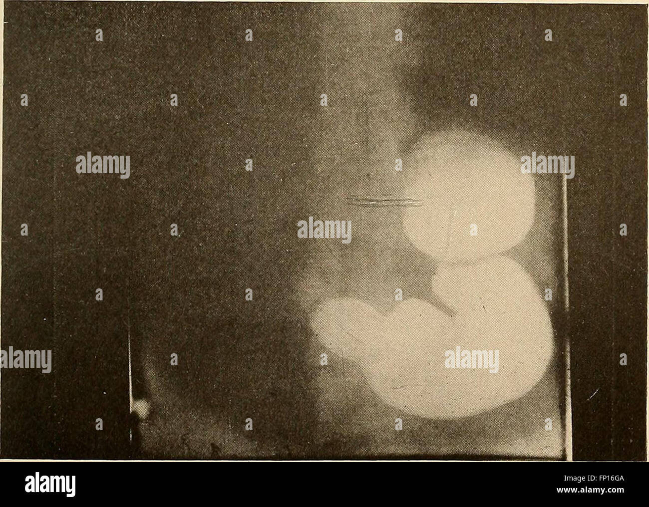 This 1917 manual provides comprehensive instructions on the use and ...