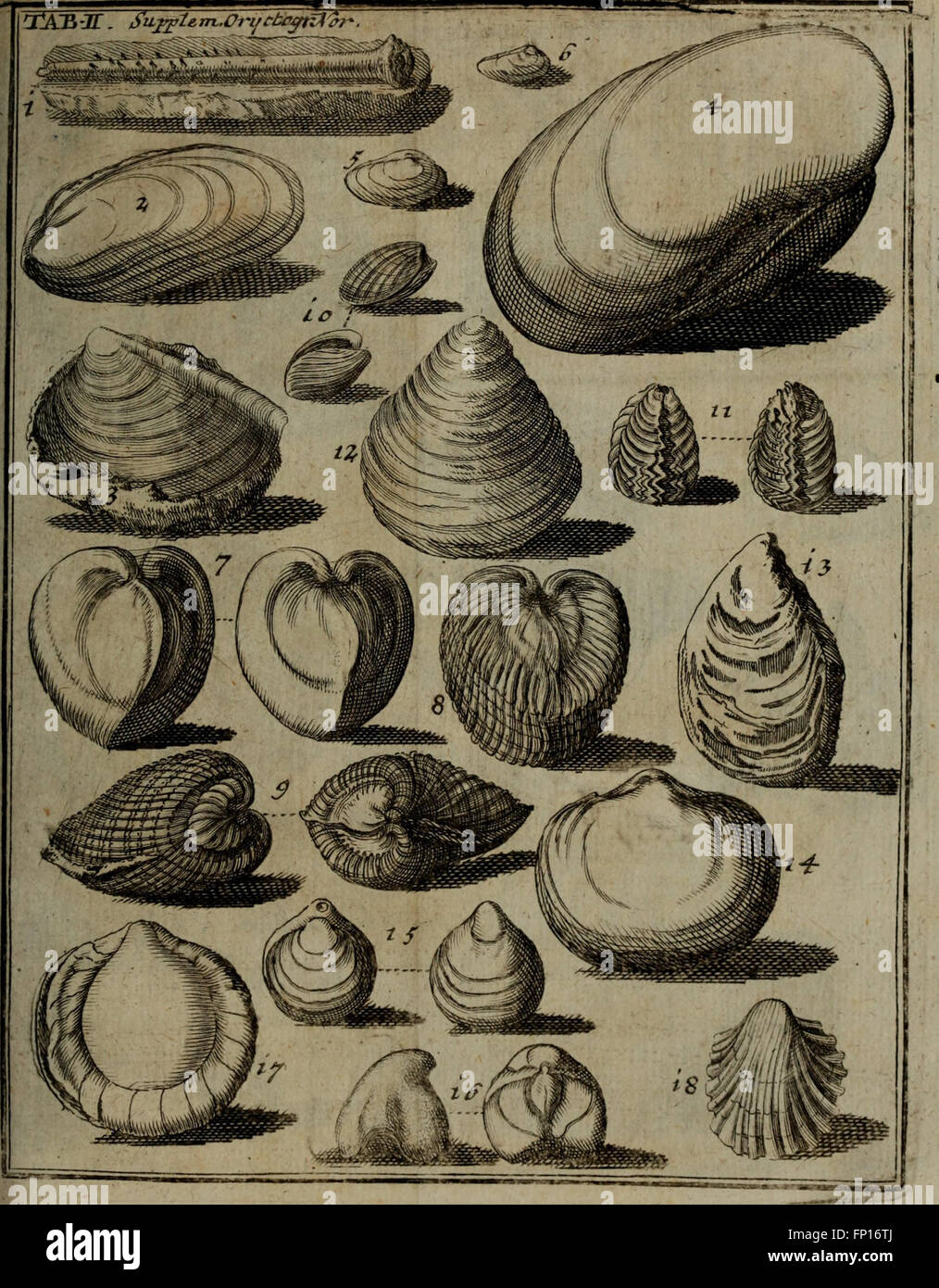 This 1730 publication includes scientific papers from the Academy of ...