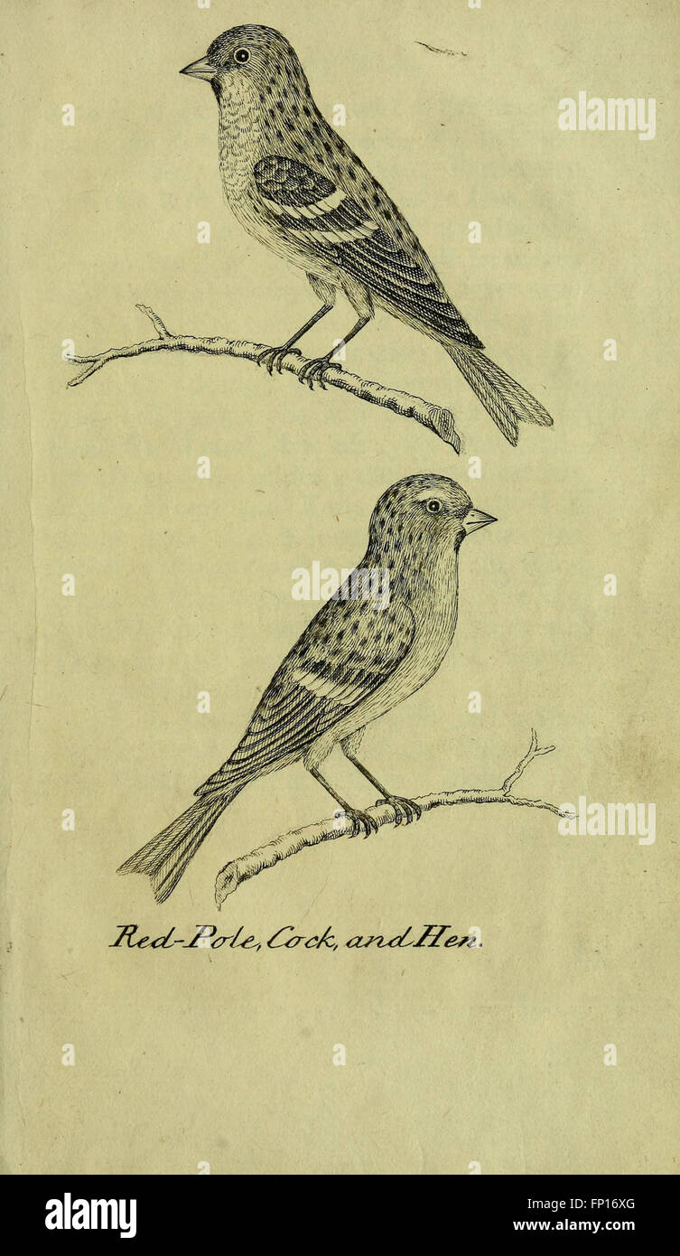 This plate from the 'Natural History of English Song-Birds' illustrates ...