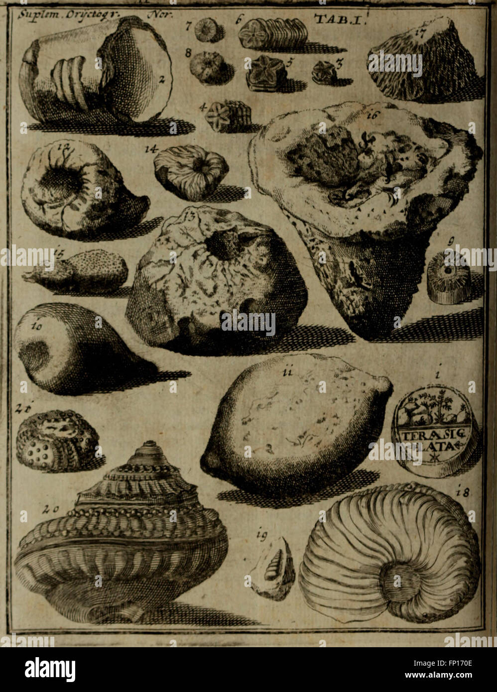This 1730 publication is a scientific journal featuring research in the ...