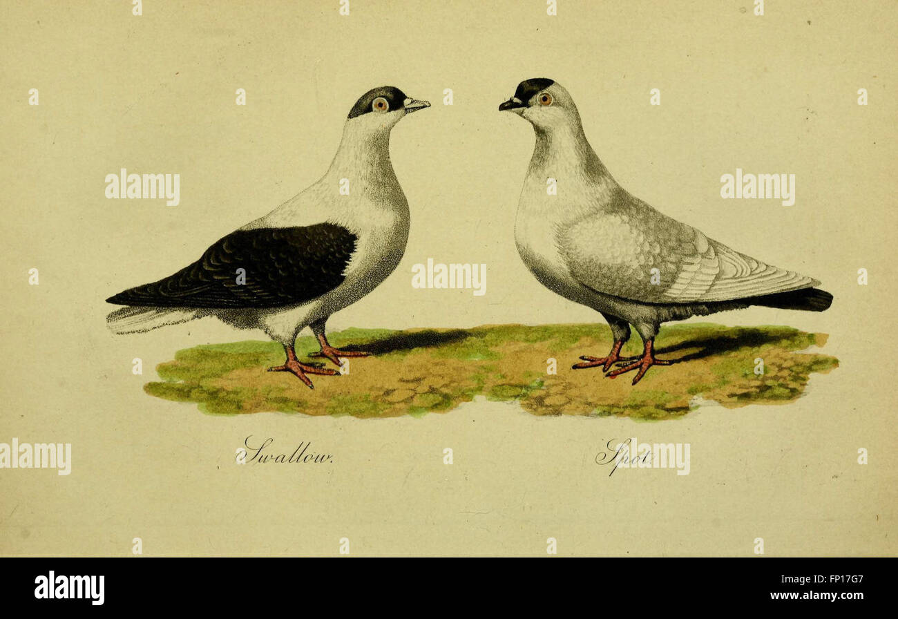 A detailed guide on the breeding, care, and management of various types ...
