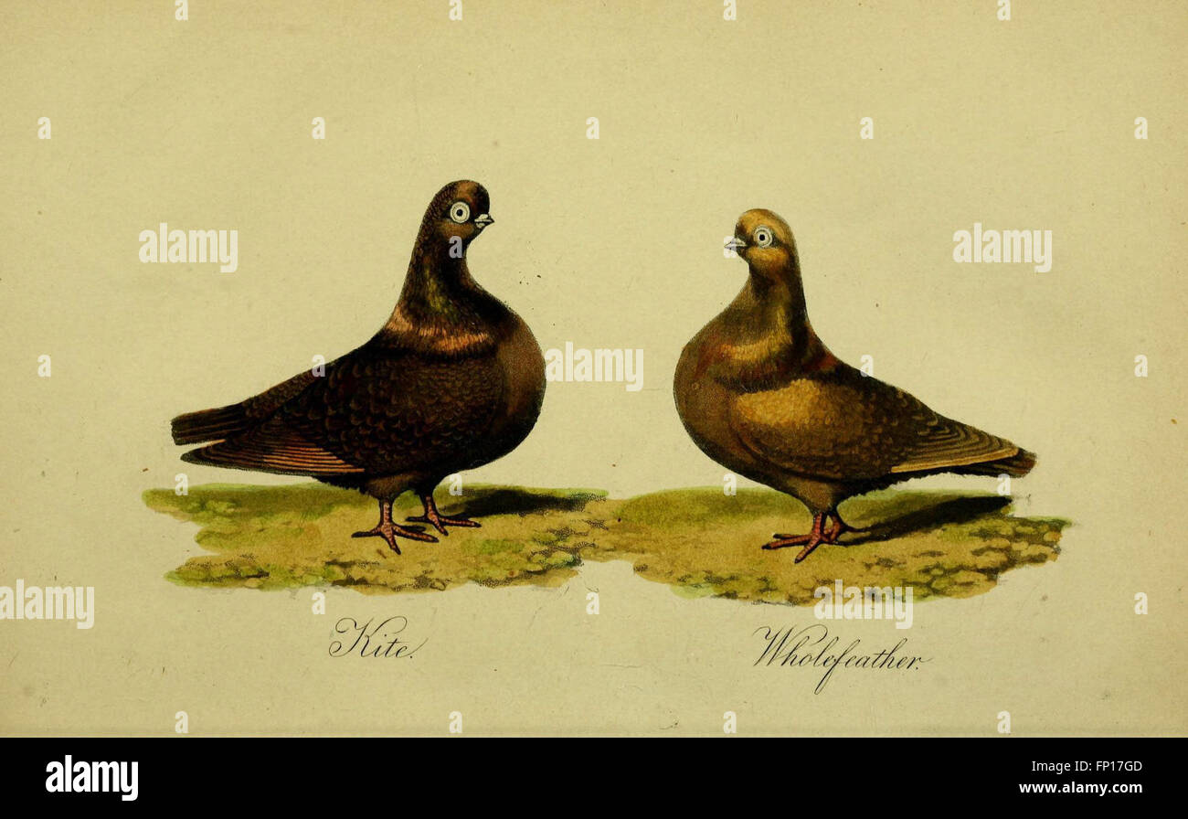 This treatise provides comprehensive guidance on breeding and managing ...