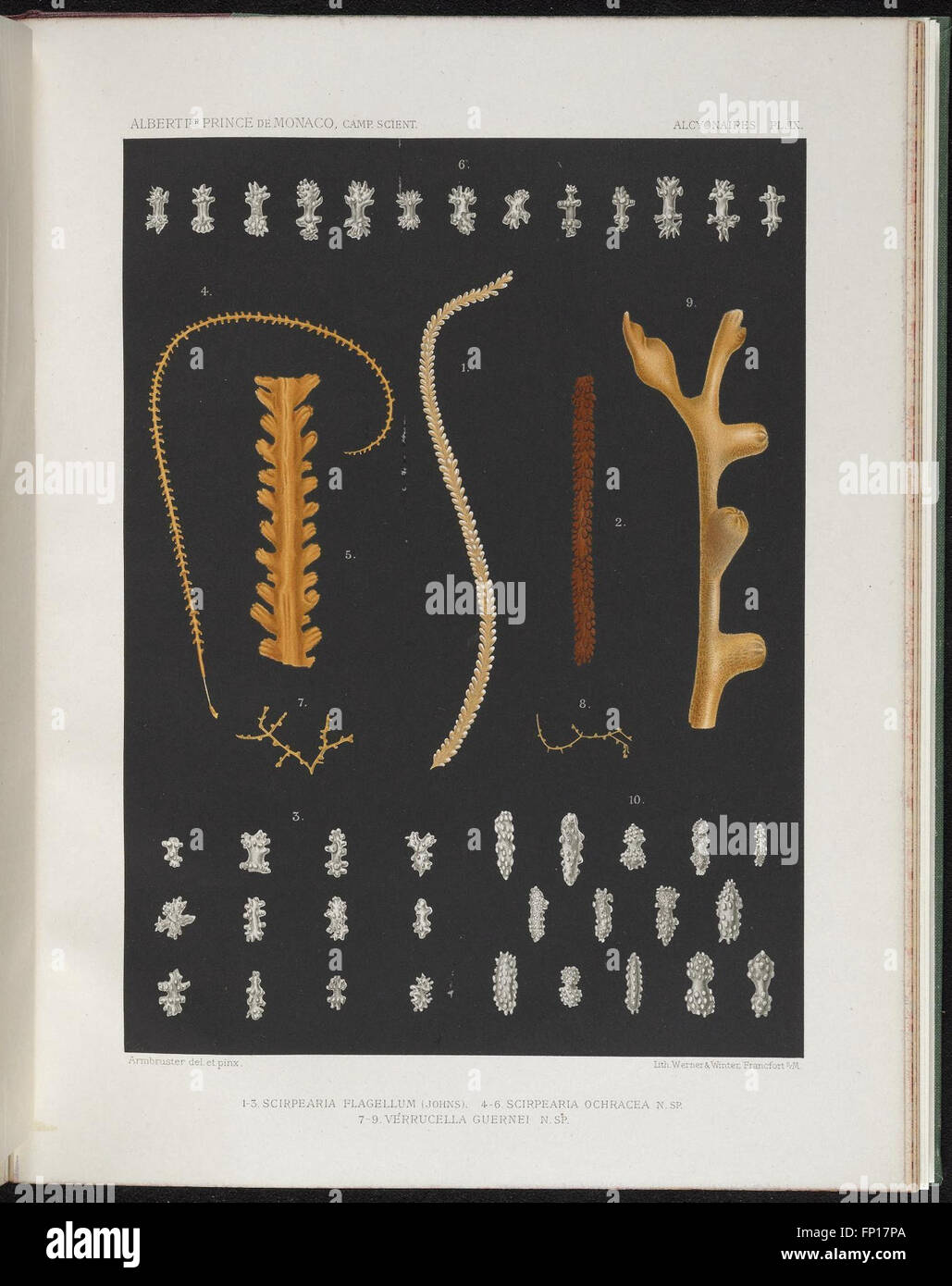 This 1886-1888 study presents findings from the Hirondelle campaigns ...