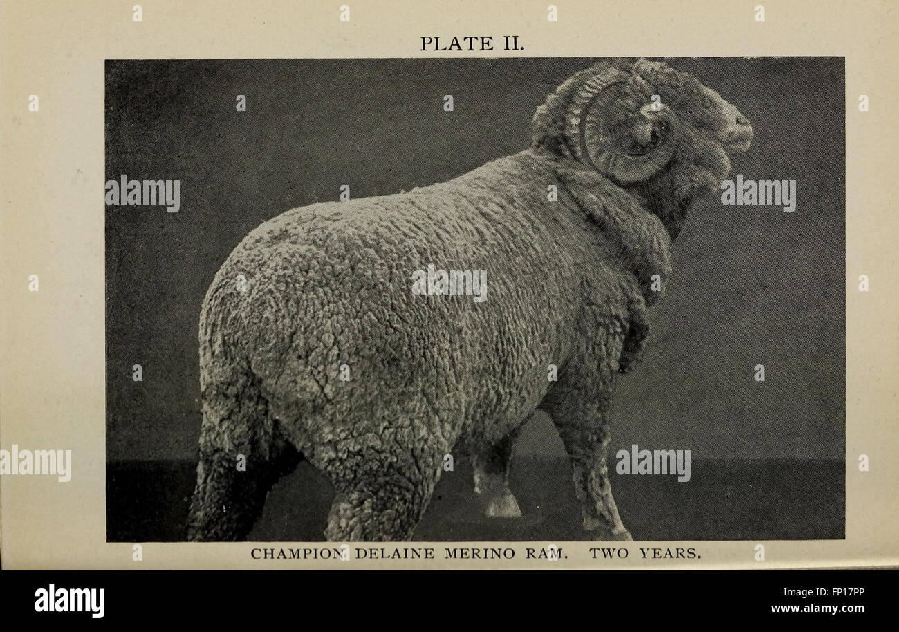 'Biggle Sheep Book' (Plate II) provides detailed illustrations and ...