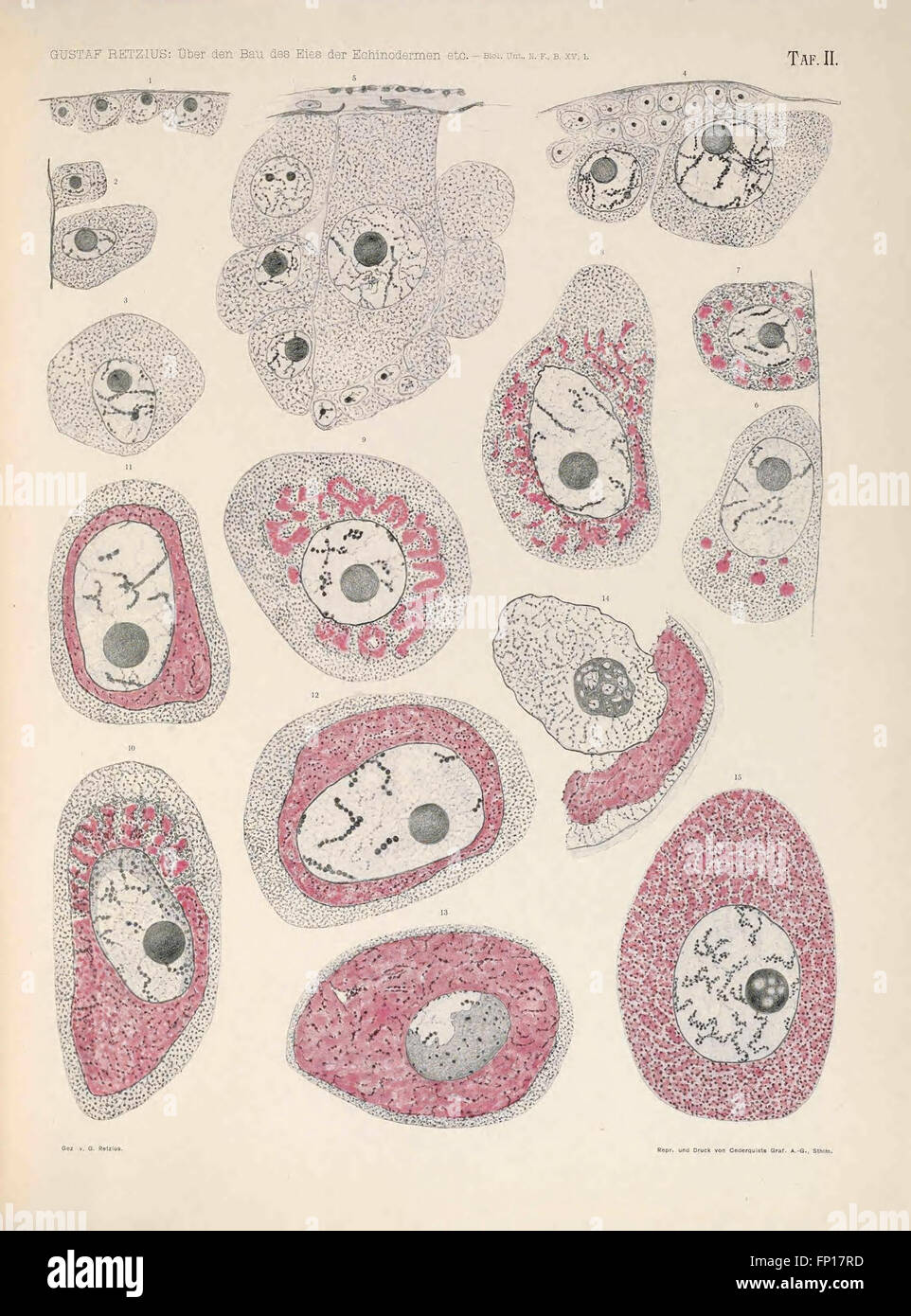 This work presents biological research findings in various fields, as ...