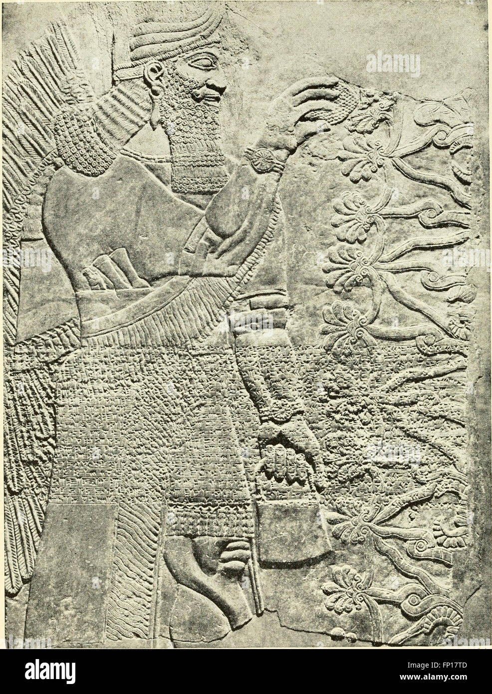 'Biology and Man' (1944) explores the relationship between humans and ...