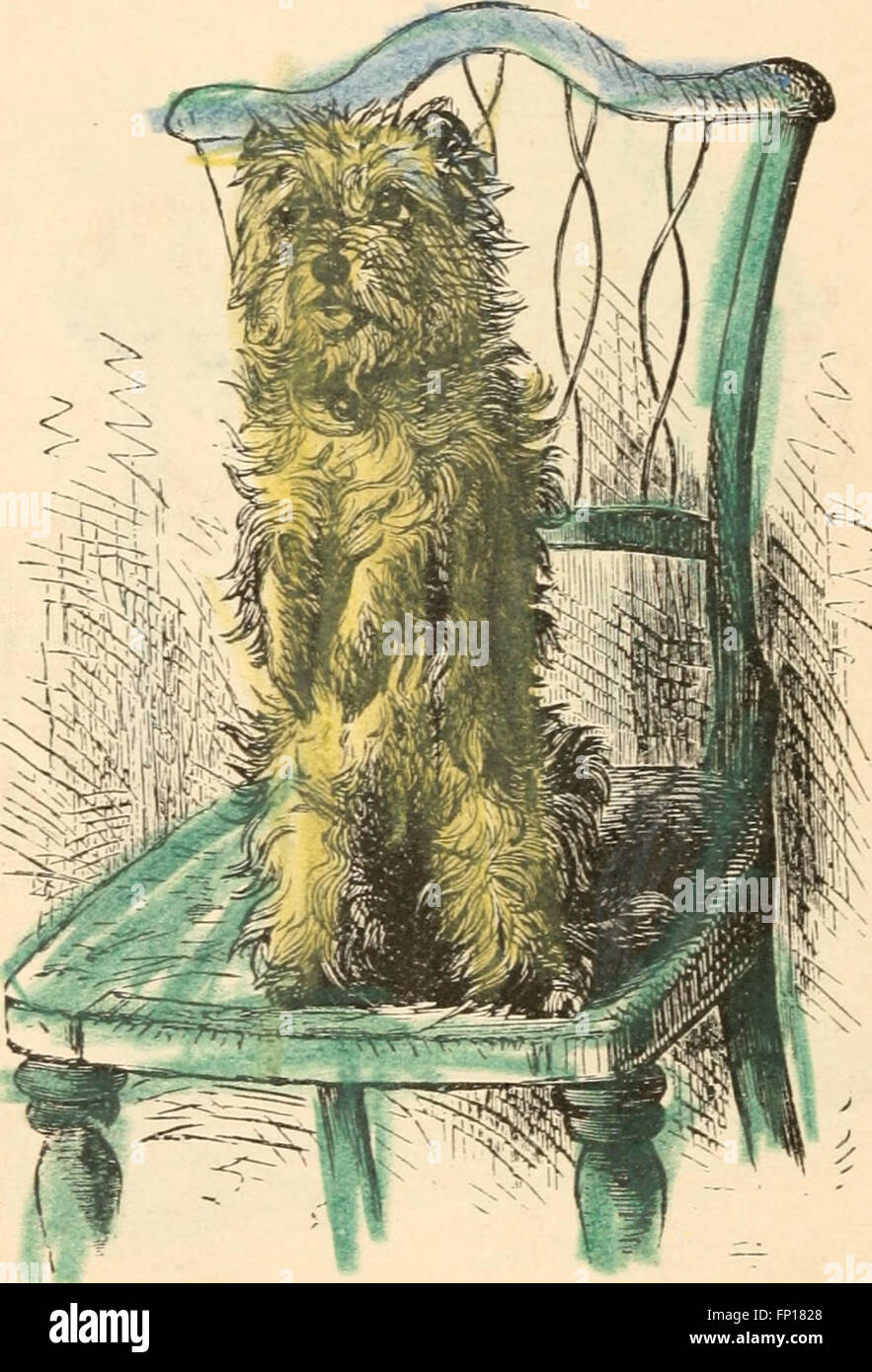 The 1885 'Book of Cats and Dogs' is a children's book that explores the ...