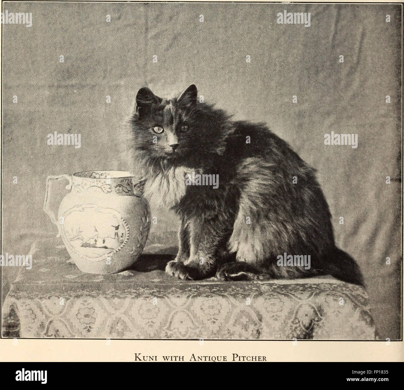 'Alexander and Some Other Cats' (1929) is a charming collection of ...