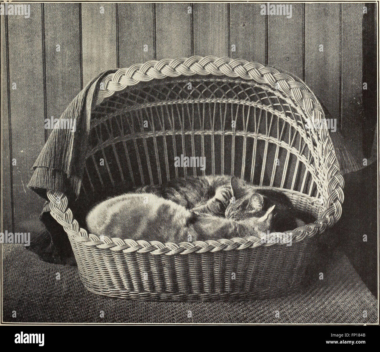 This 1929 work details the life and behavior of Alexander, a notable ...
