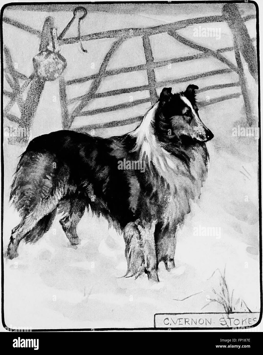 British Dogs at Work (1906) illustrates the various roles that dogs ...