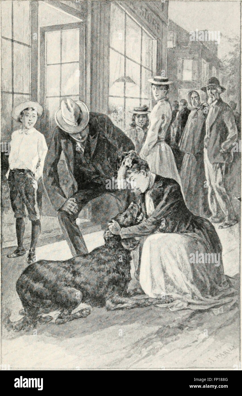 The 1908 book 'Bruno' is a literary work centered around a character ...