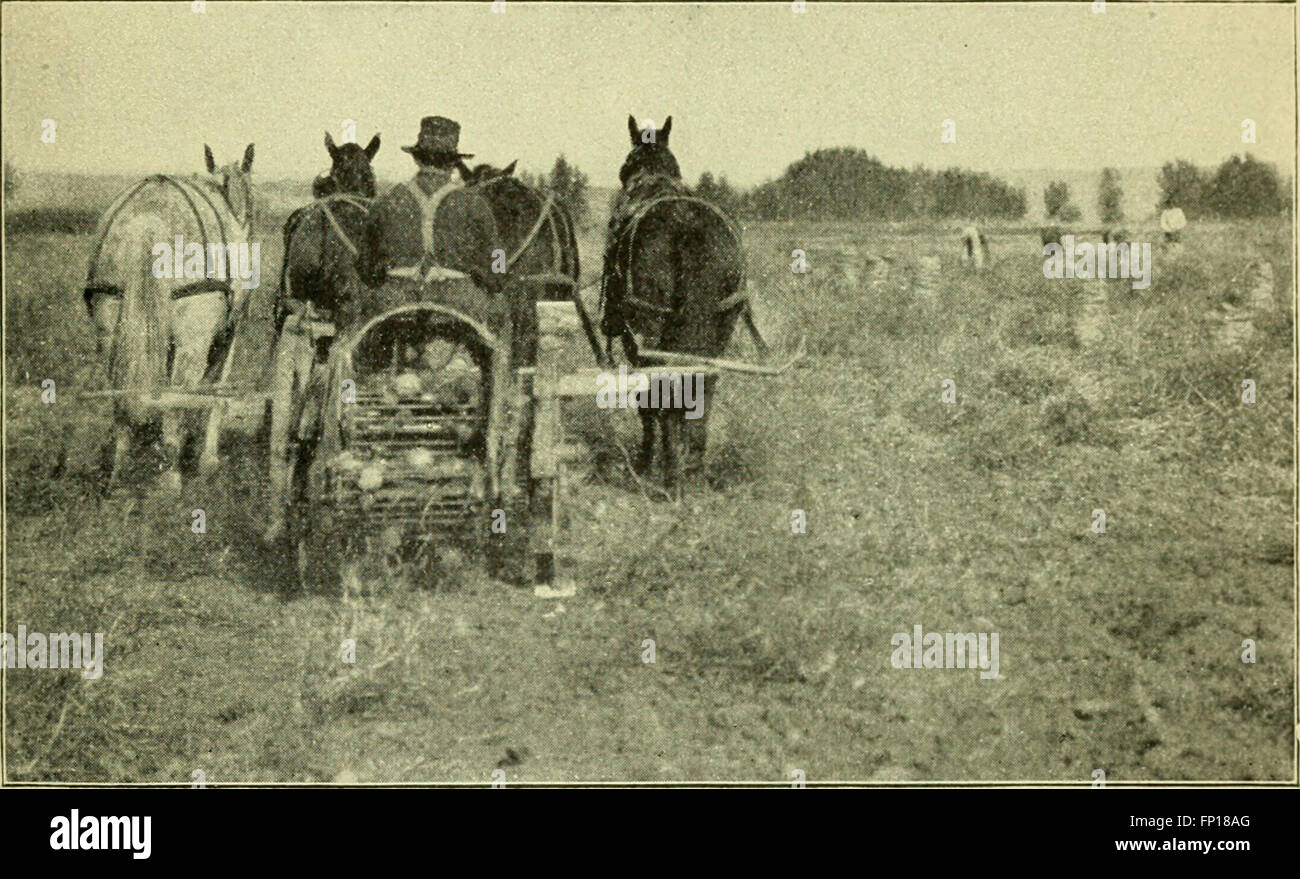 This 1908 publication highlights the opportunities along the Chicago ...