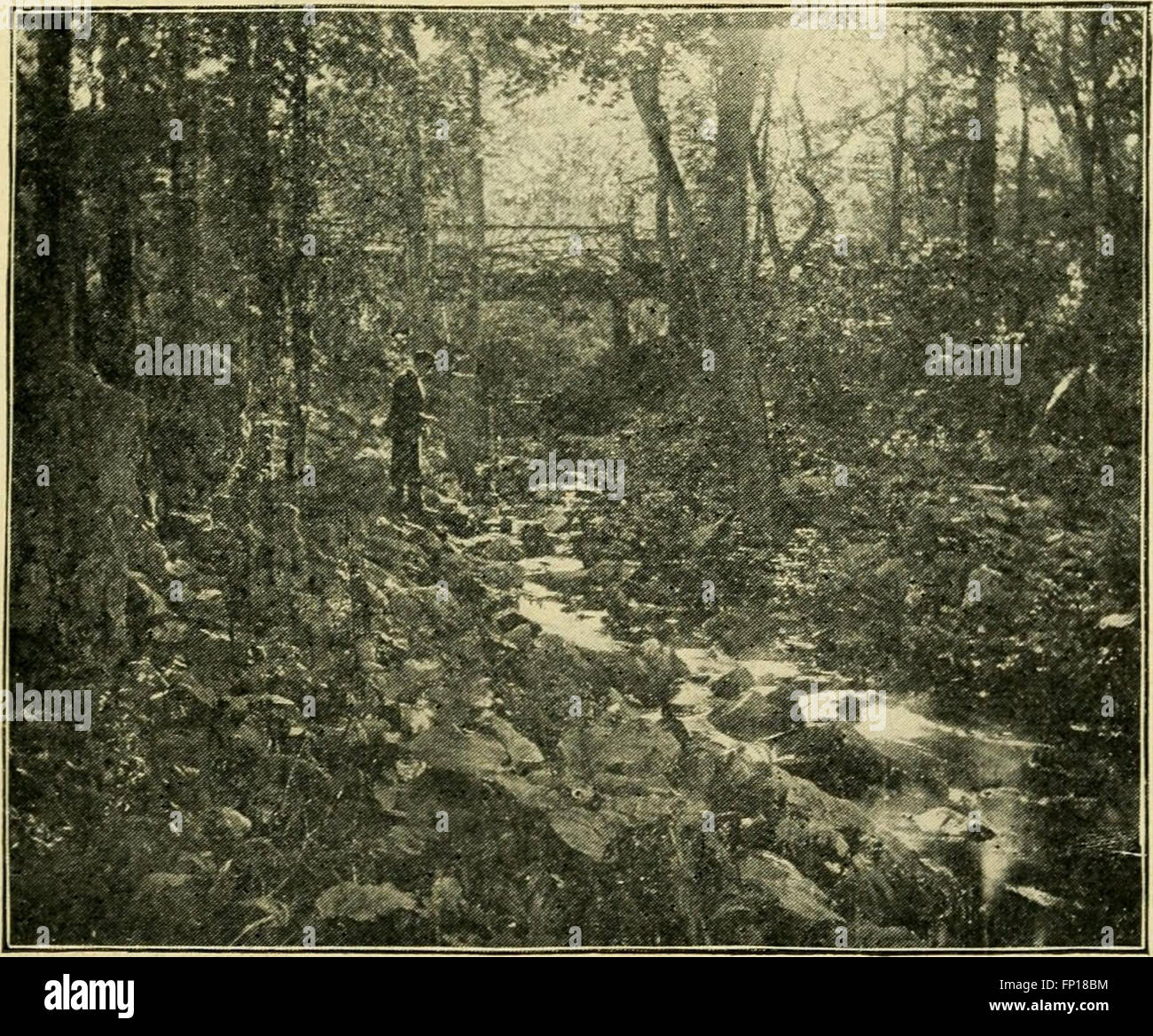 *By Trolley Through Eastern New England* (1904) describes scenic tours ...