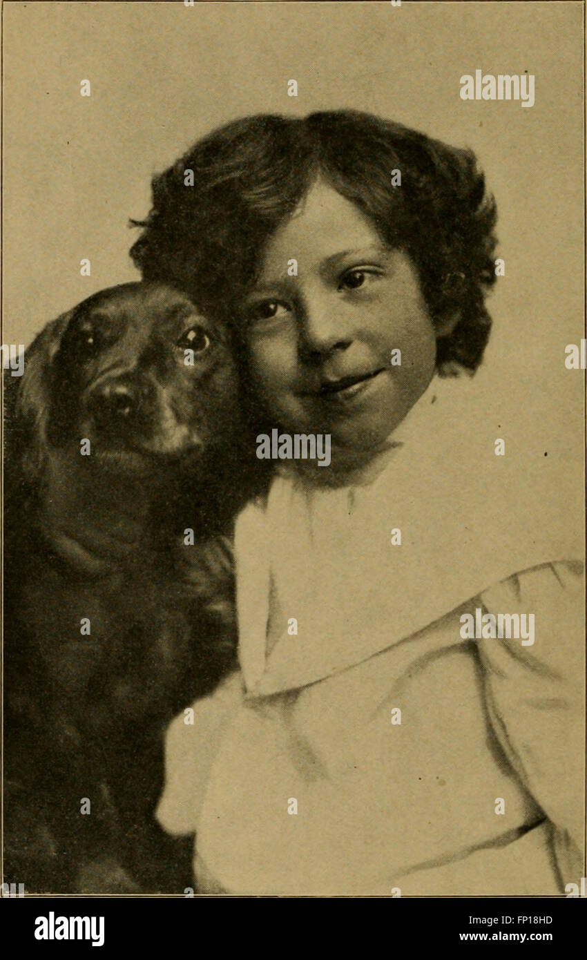 The 1906 'Amateur's Dog Book' provides essential information for dog ...