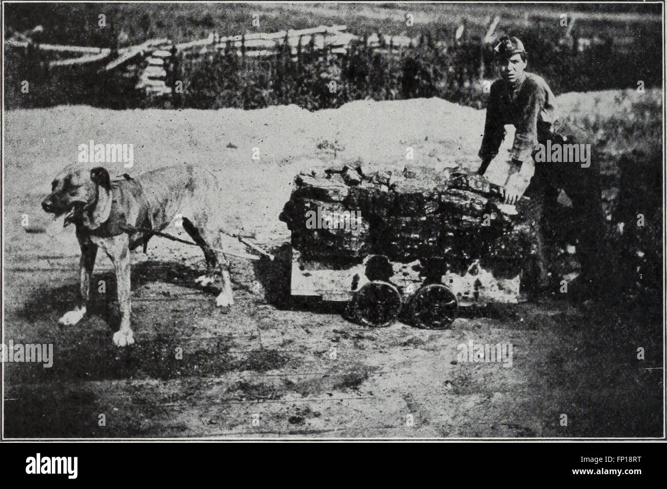 This 1915 work examines the coal mining industry in Illinois, exploring ...