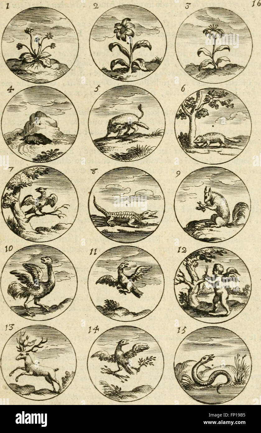 This work presents a collection of ancient and modern devices and ...