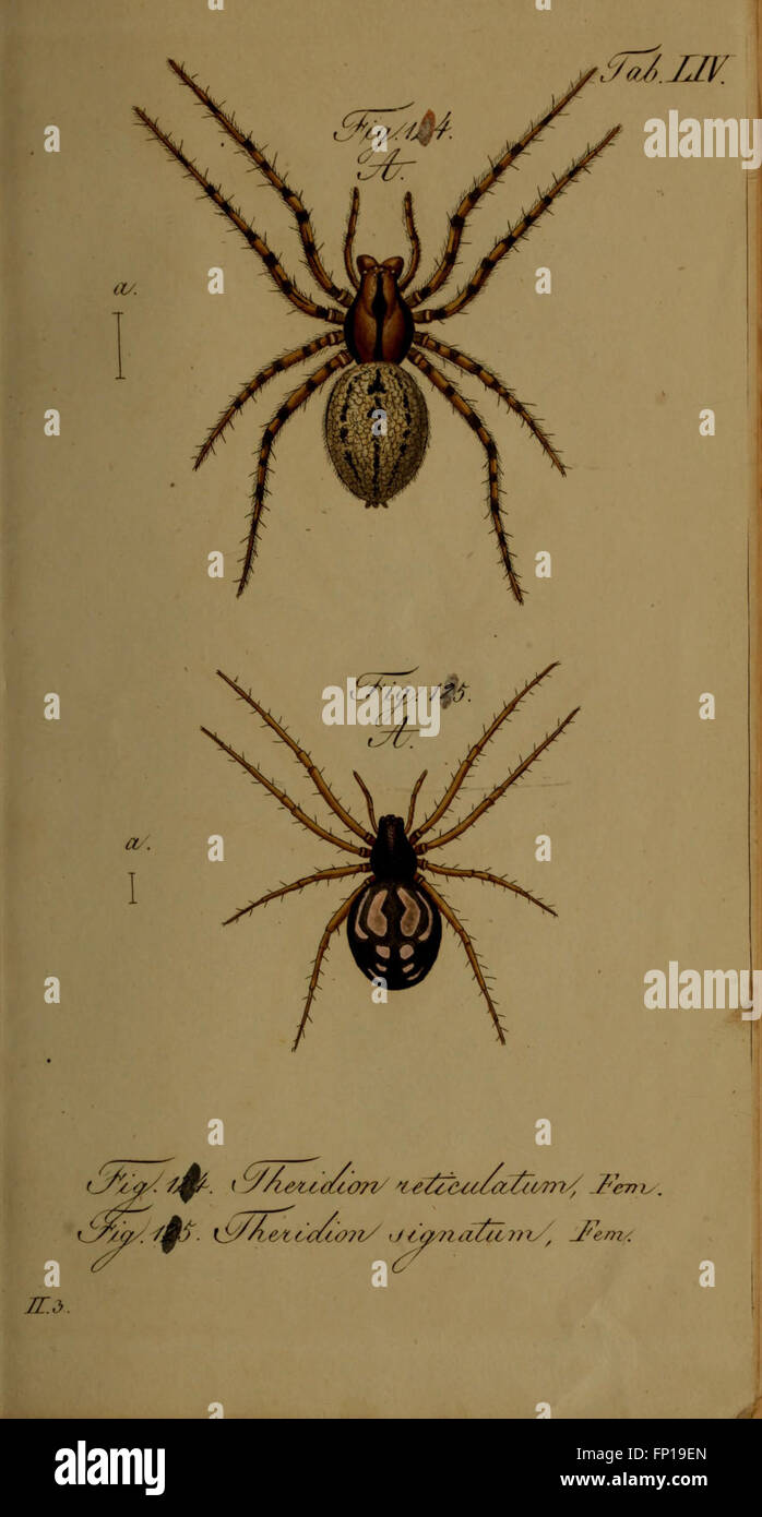 Die Arachniden (Tab. LIV) is a comprehensive study of arachnids ...