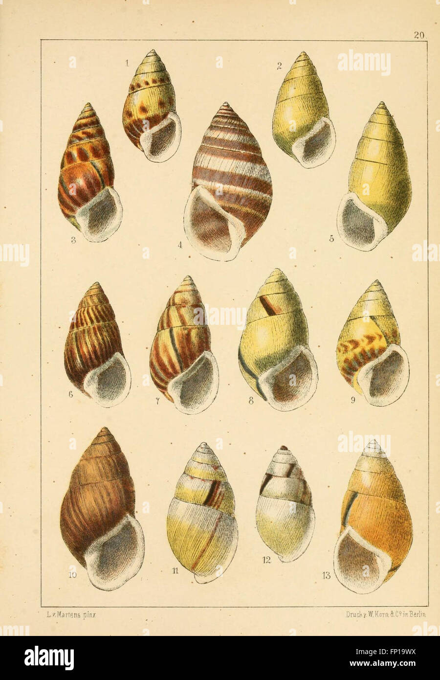 Ost 20 hi-res stock photography and images - Alamy