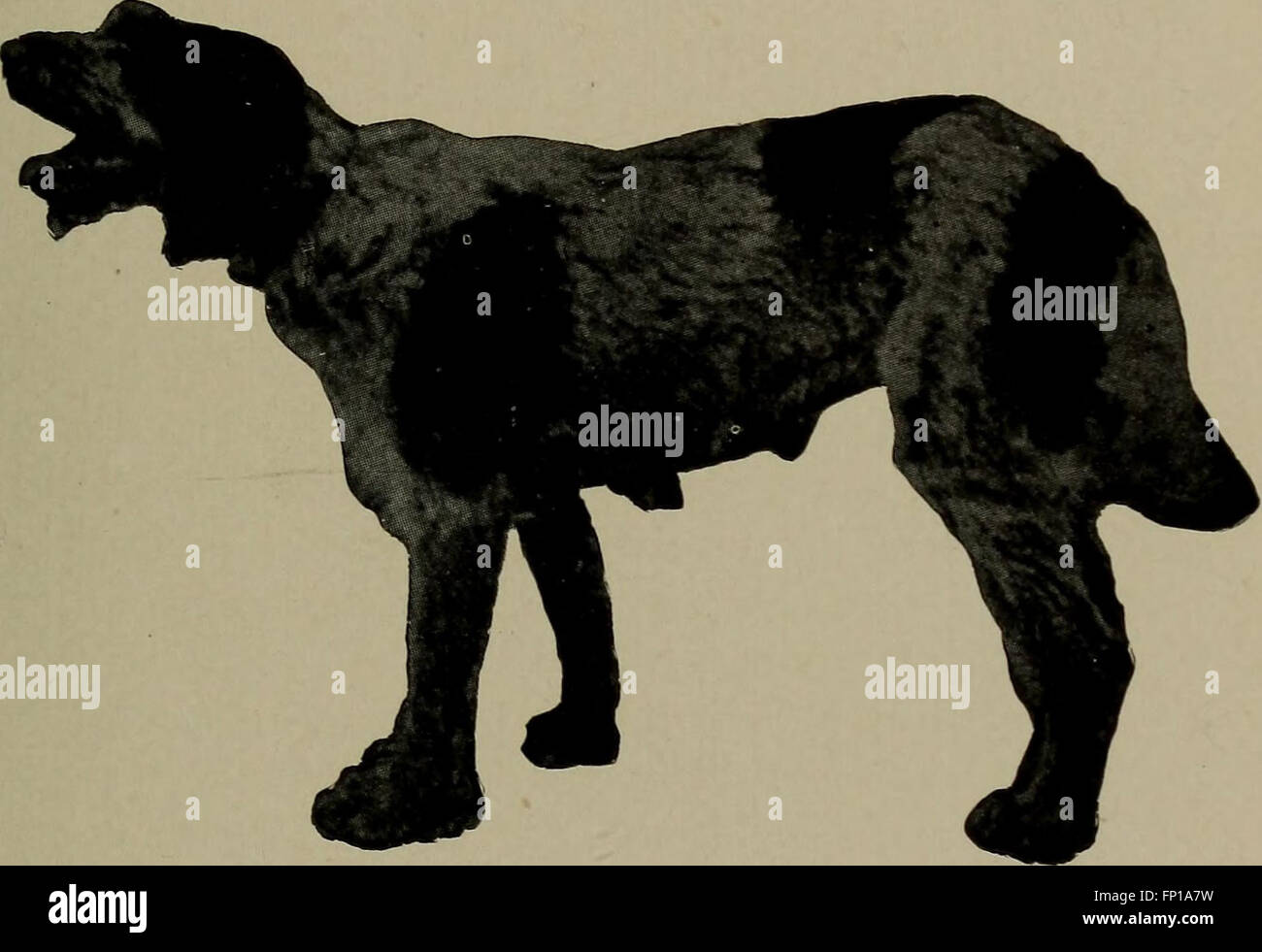This 1903 work explores various dog breeds from around the world ...