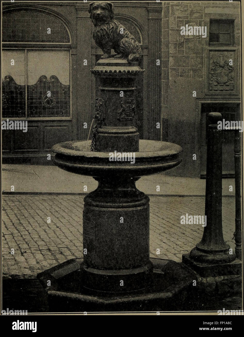 'Dogs of All Nations,' published in 1903, is a blend of prose and ...