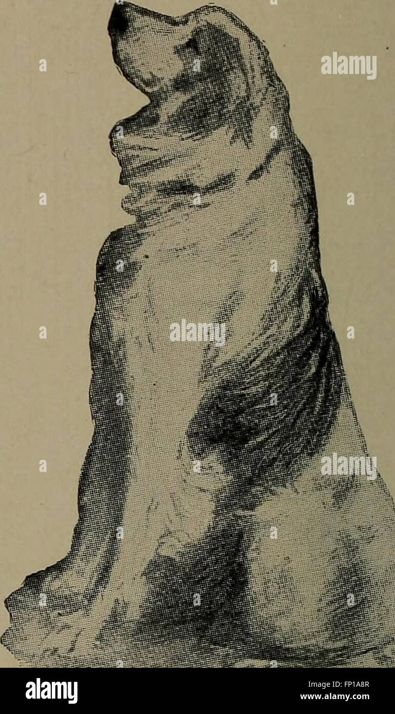 A collection of prose and rhymes from 1903 celebrating dogs from ...