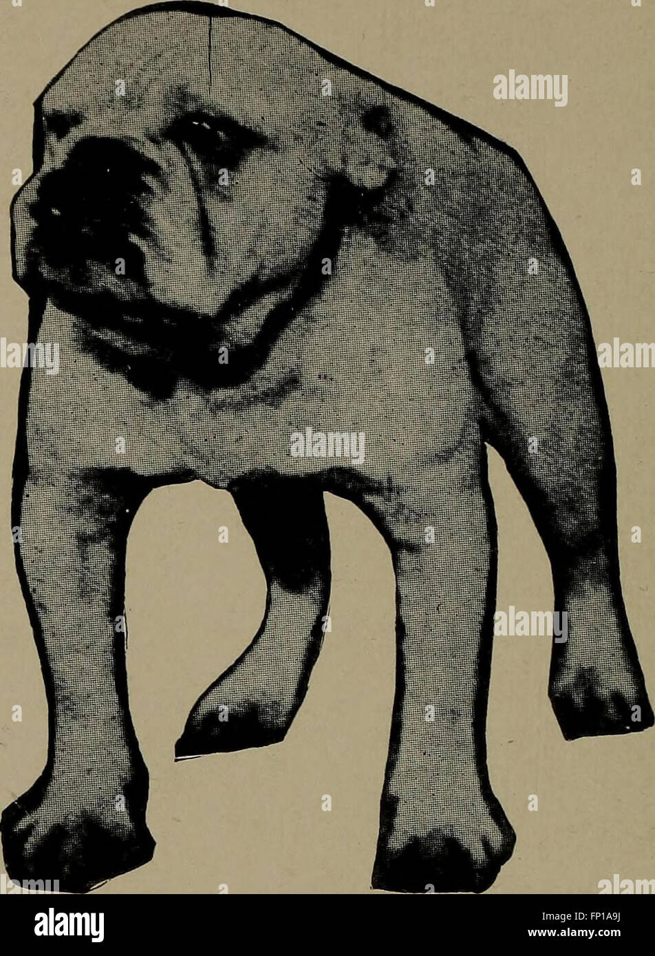 This 1903 book explores various dog breeds from around the world, using ...