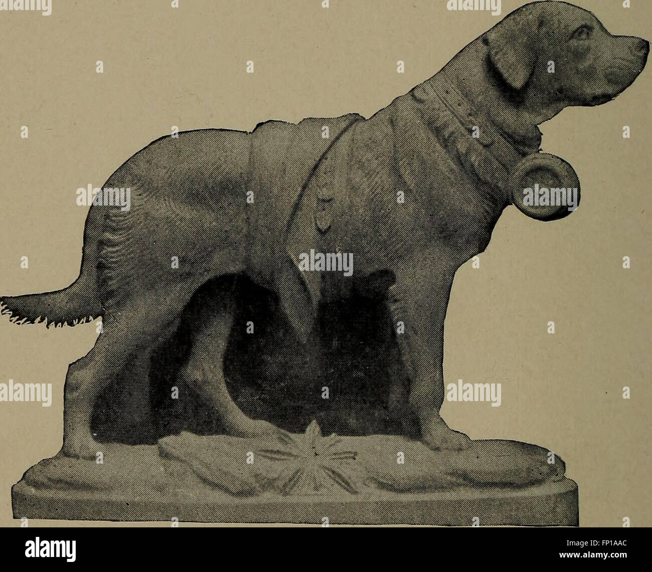 A 1903 work exploring the world of dogs across various cultures ...