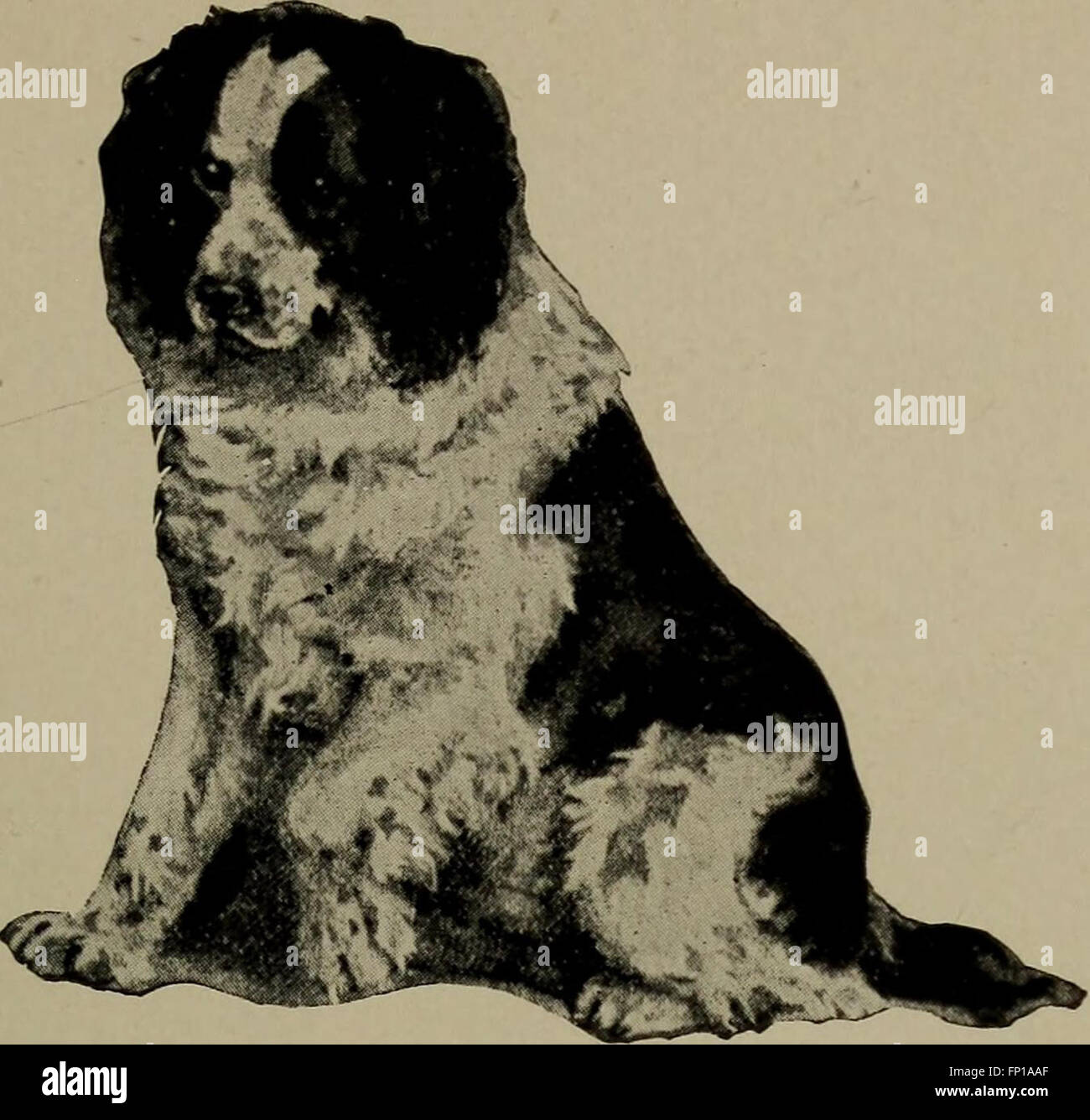 This book, published in 1903, explores various dog breeds from around ...