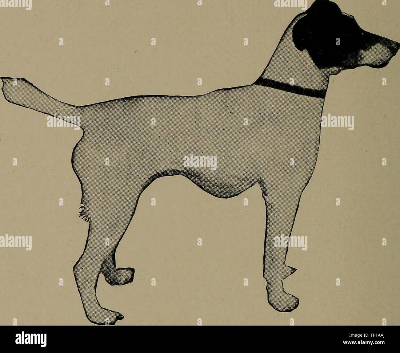 This 1903 book offers descriptions and poetic depictions of various dog ...