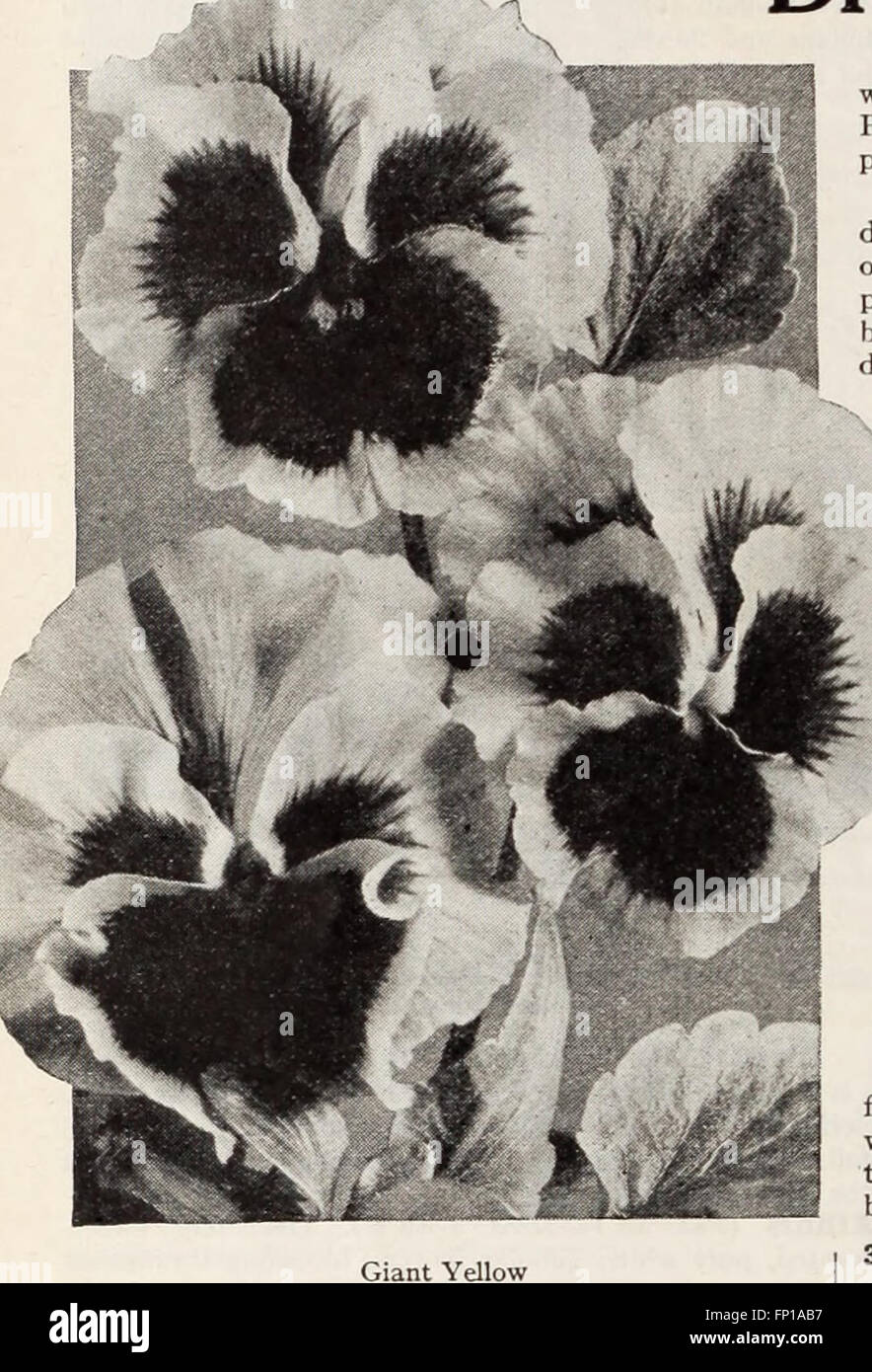 Dreer's garden book - Henry A. Dreer Stock Photo - Alamy