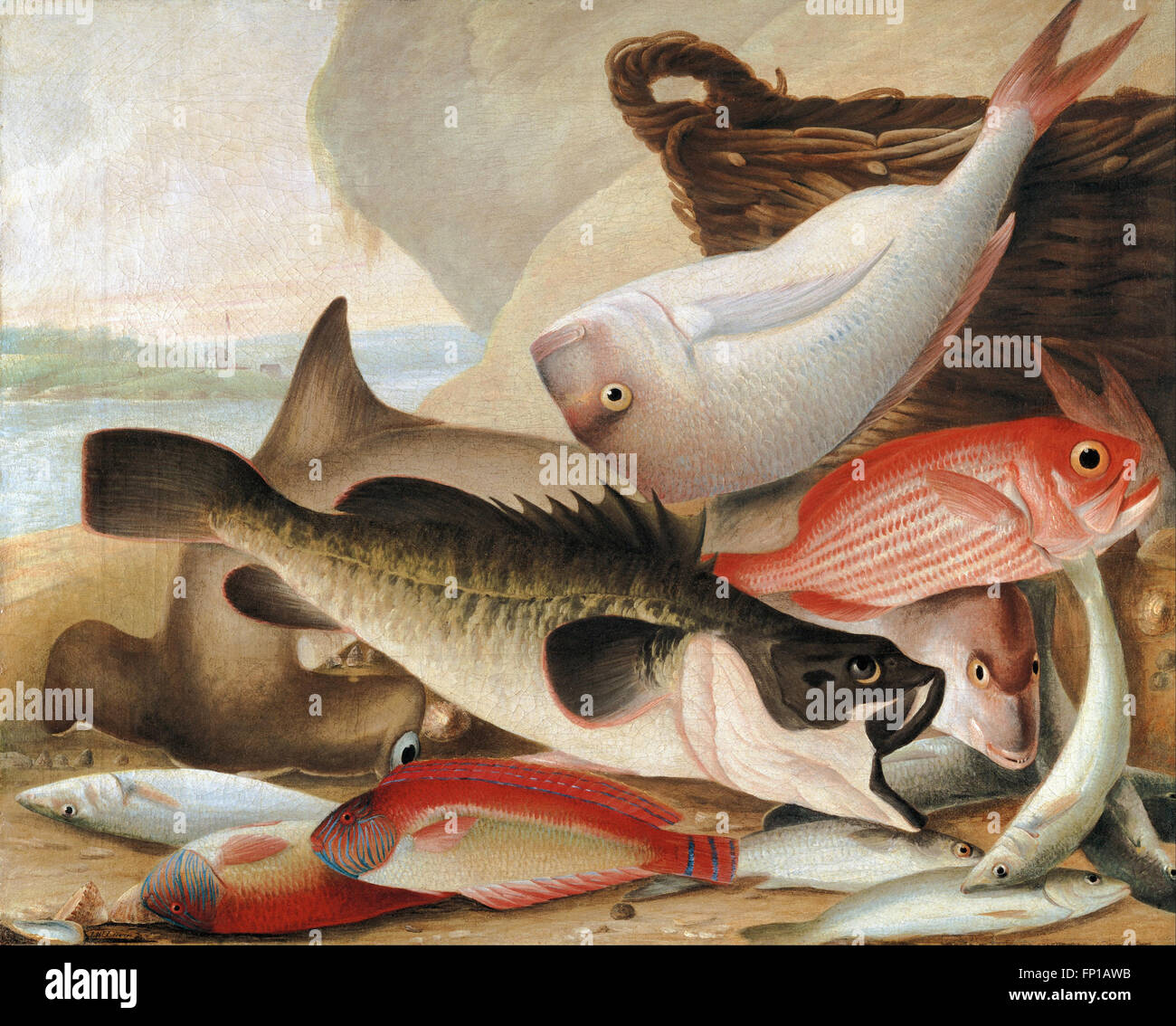 John W. Lewin - Fish catch and Dawes Point, Sydney Harbour Stock Photo ...