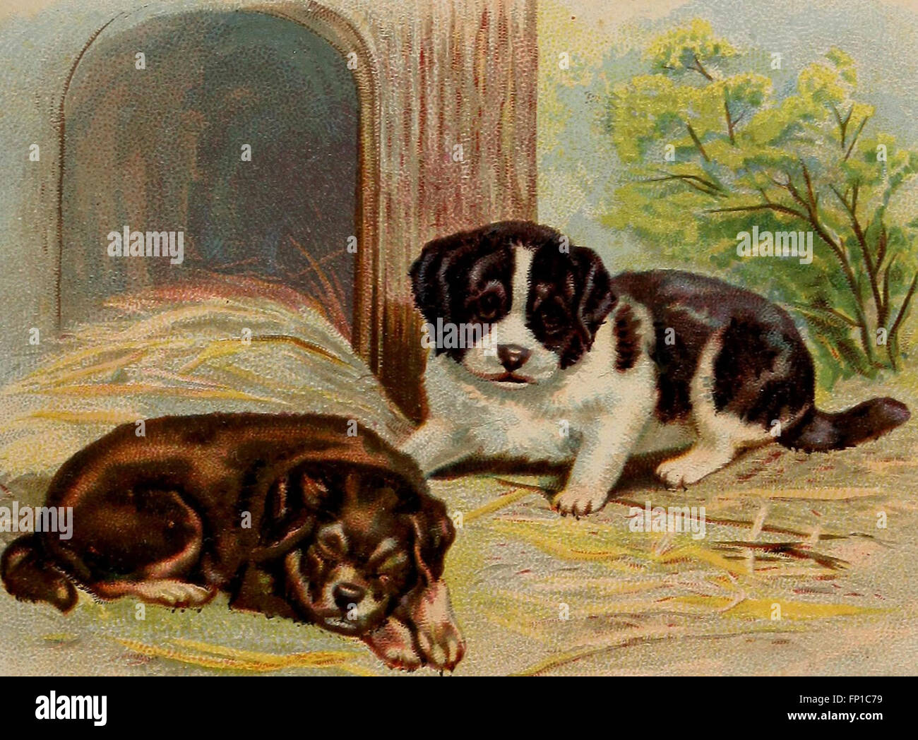 This 1907 collection of animal stories includes 500 tales, each ...