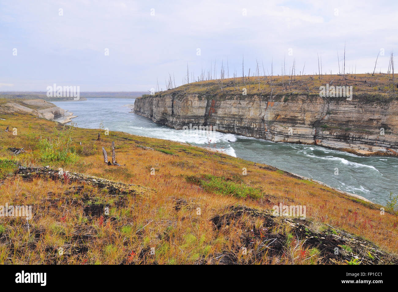 The rapids on the river. Summer landscape with rapids on the river Fish ...