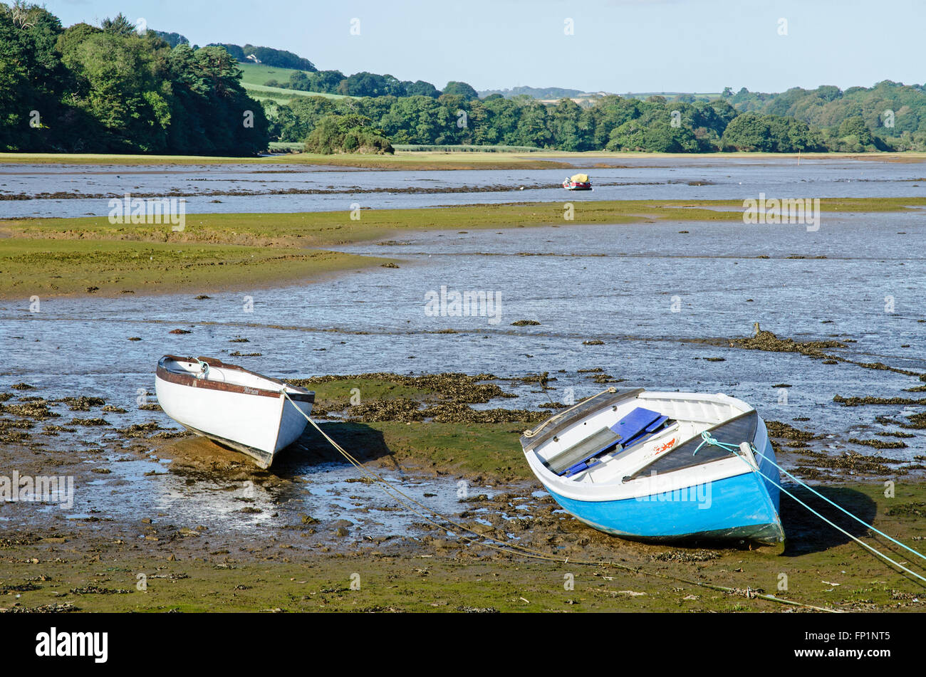 The tidal mud flats on the Carnon river at Devoran in Cornwall, UK ...