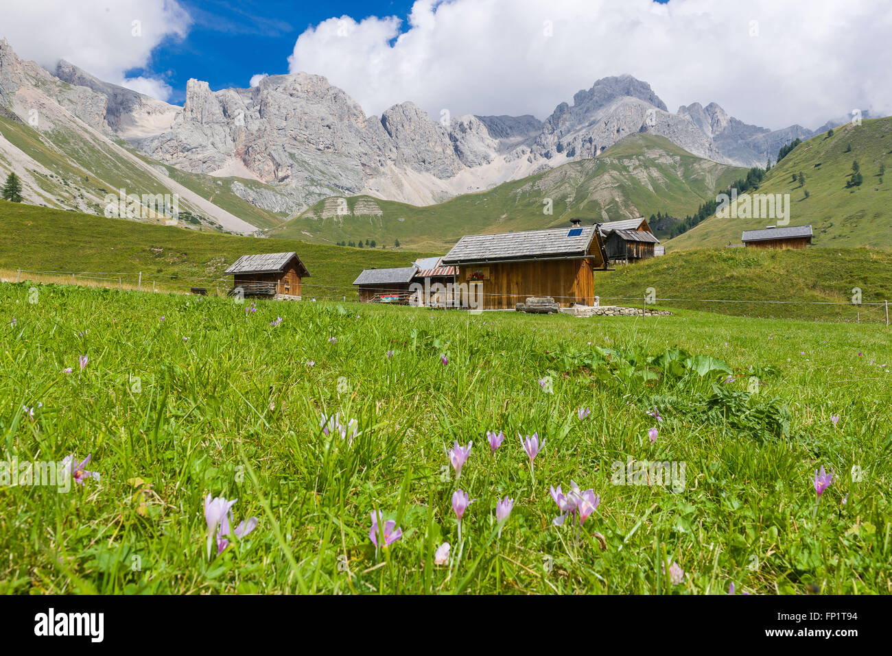 The idyllic valley of Fuciade, near Passo San Pellegrino in the ...