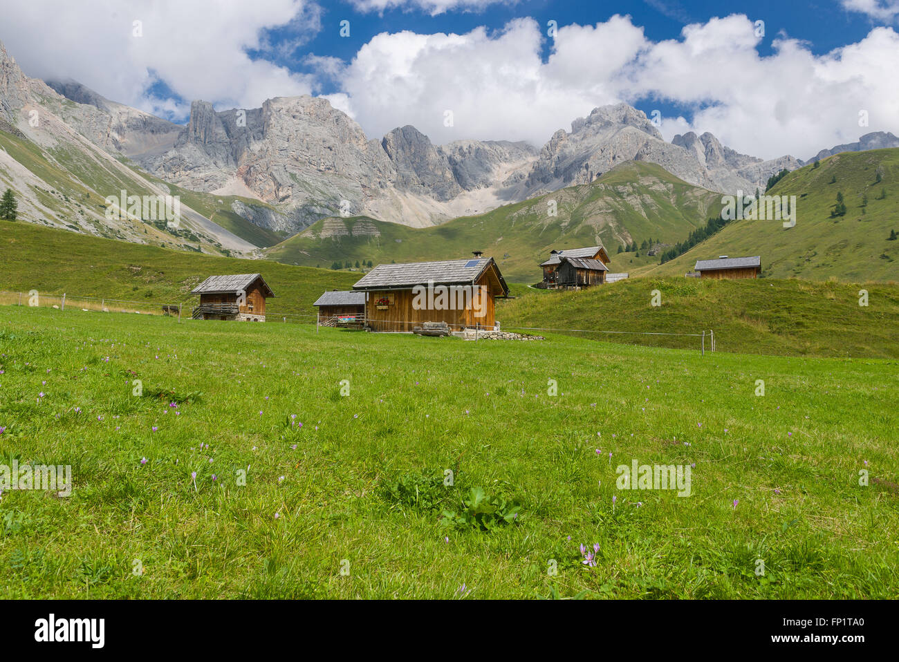 The idyllic valley of Fuciade, near Passo San Pellegrino in the ...