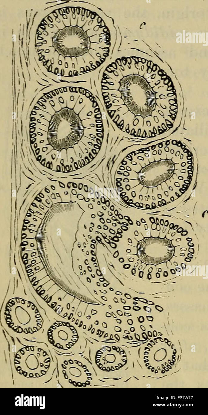 This 1892 handbook provides essential knowledge on human physiology ...