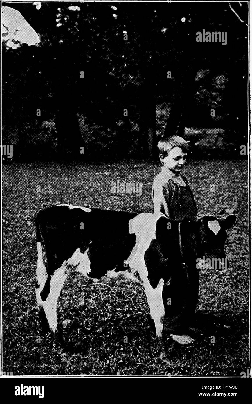 Nature leaflets Black and White Stock Photos & Images - Alamy