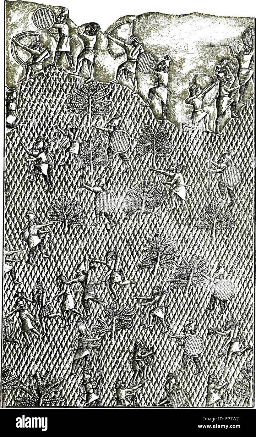 'History of Egypt, Chaldea, Syria, Babylonia, and Assyria' (1903 ...