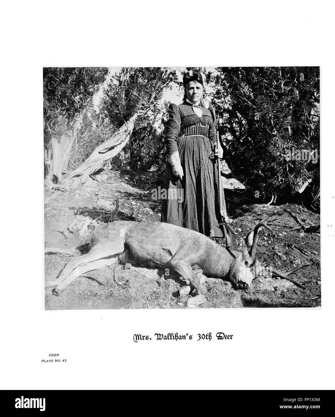 This photographic work captures the hoofs, claws, and antlers of ...