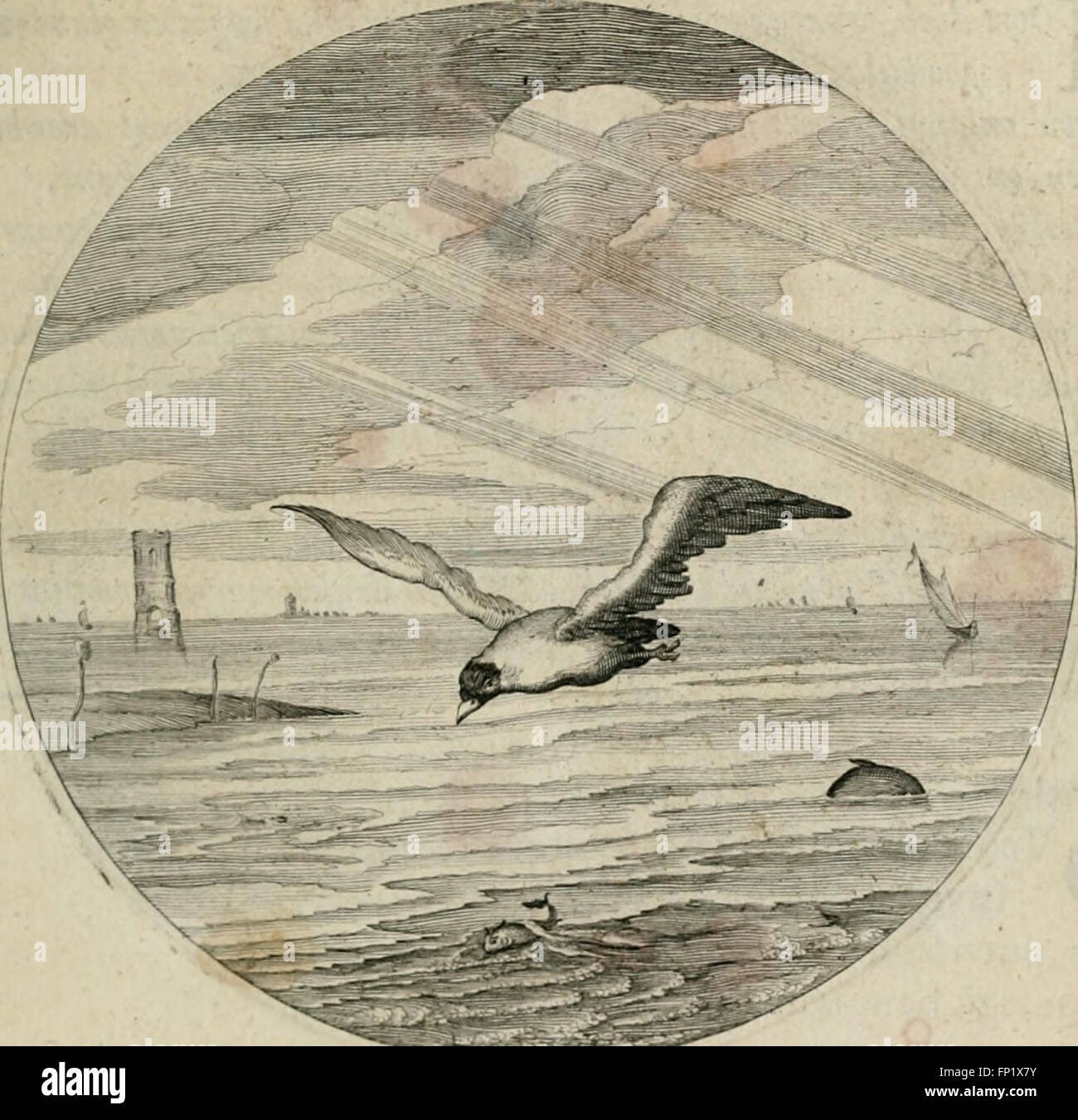 A 1618 text, 'Iacobi Catzii Silenus Alcibiades, sive Proteus ...