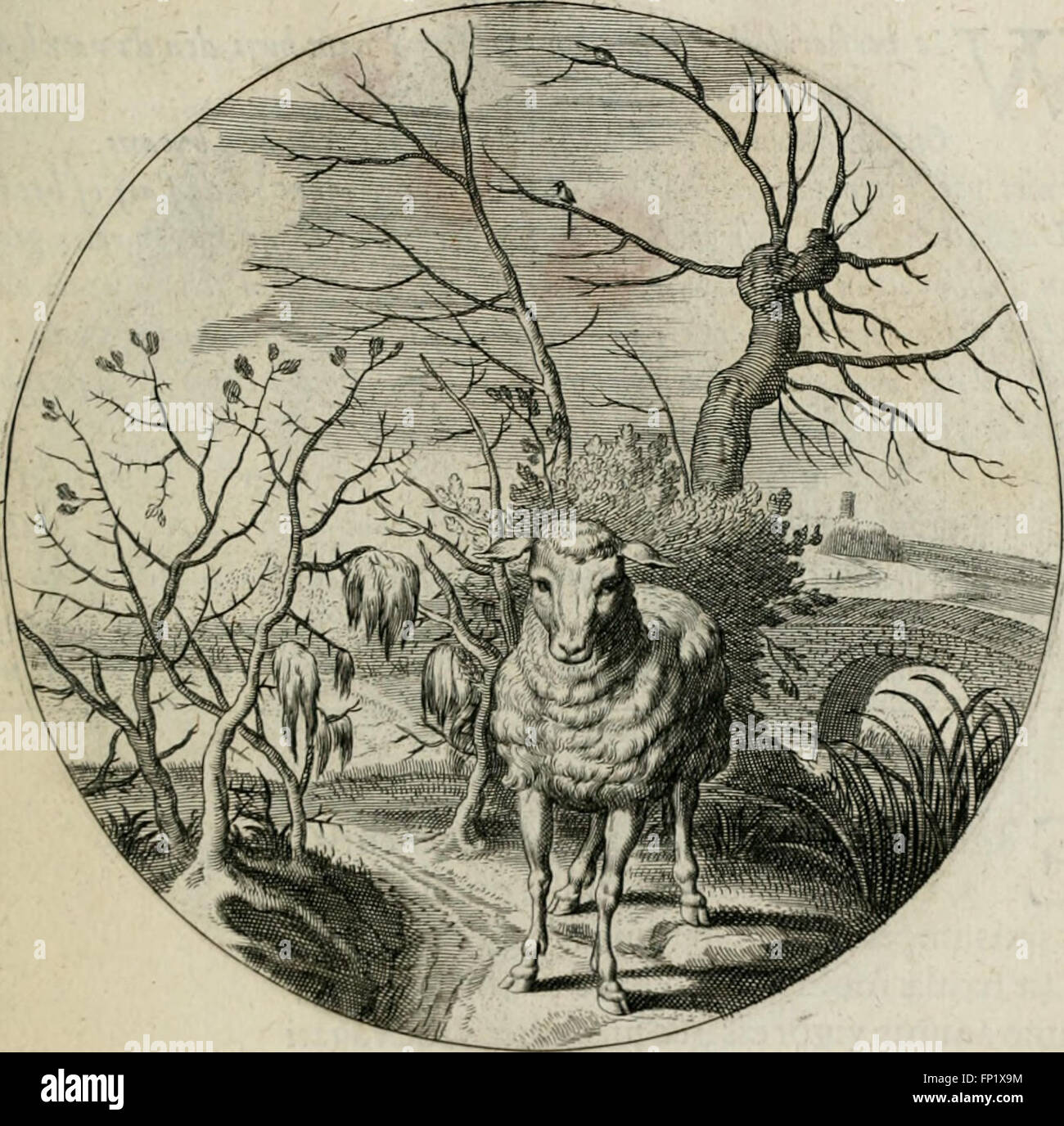 Published in 1618, this work explores classical figures from Greek ...