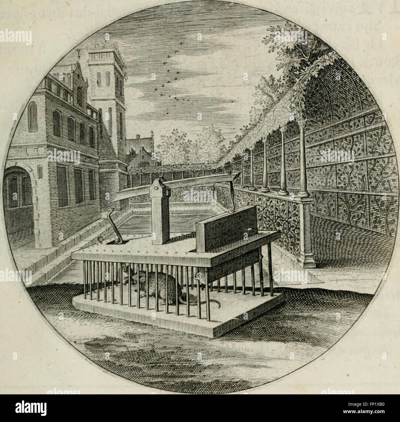 *Iacobi Catzii Silenus Alcibiades, sive Proteus* (1618) is a classical ...