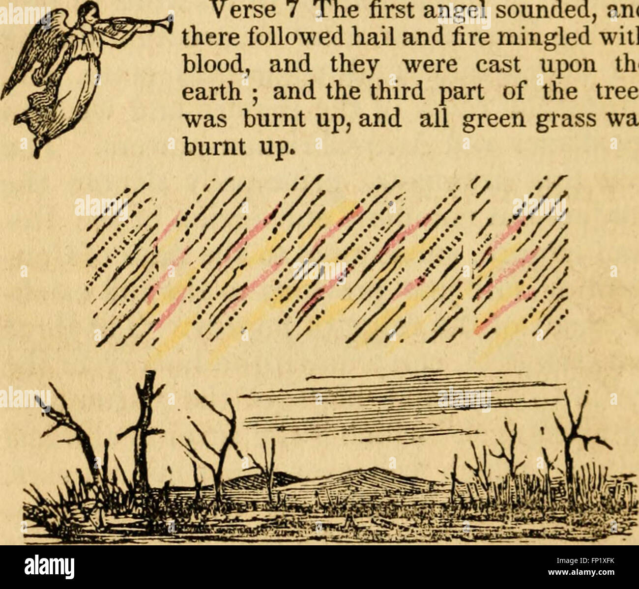 'Illustrations of Prophecy' (1840) explores the prophetic visions ...
