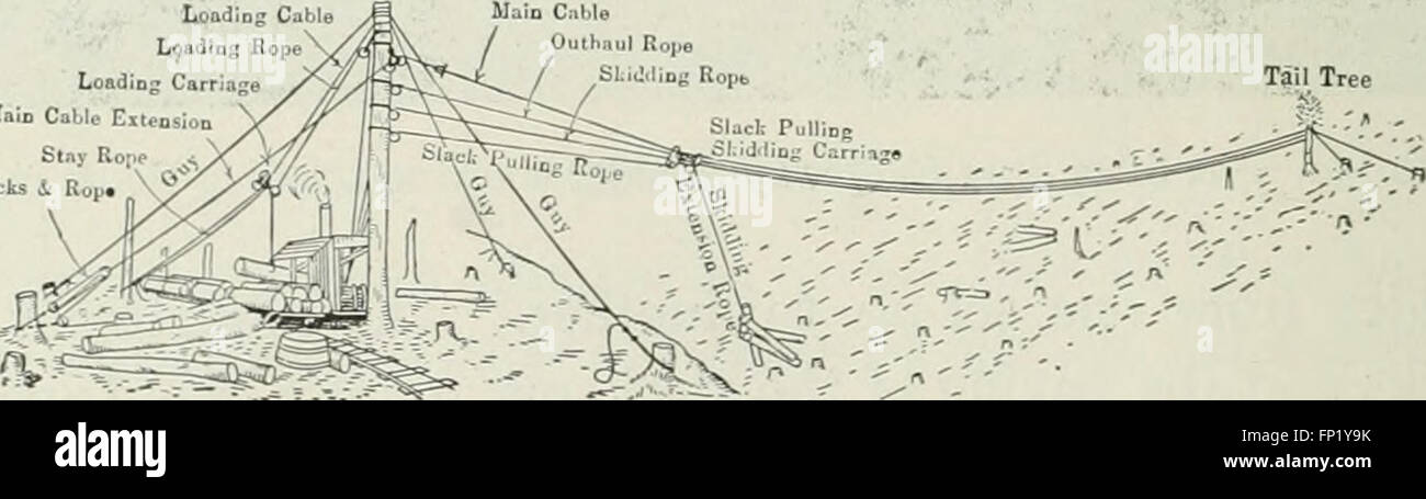 Logging methods hi-res stock photography and images - Alamy
