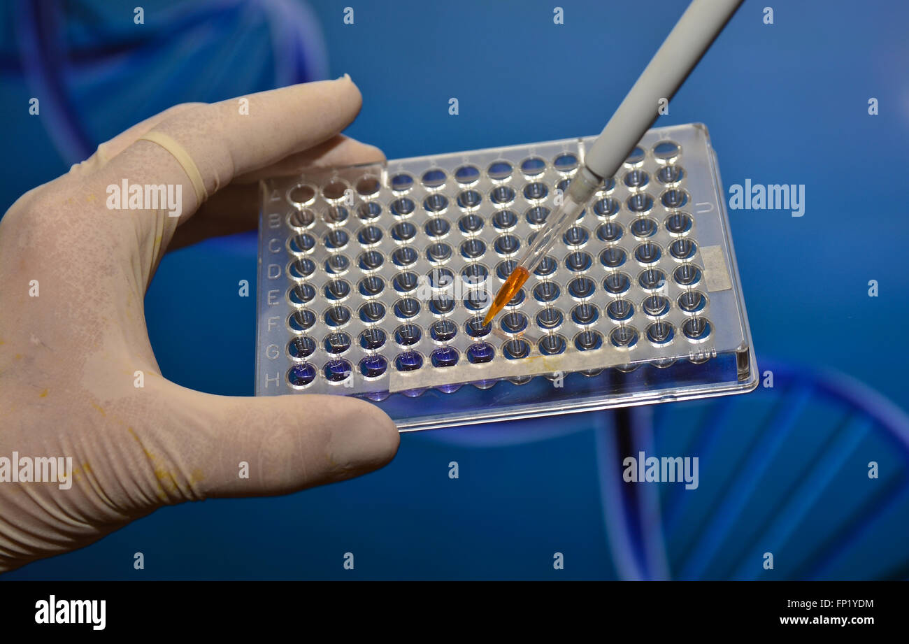 Pcr well plate hi-res stock photography and images - Alamy
