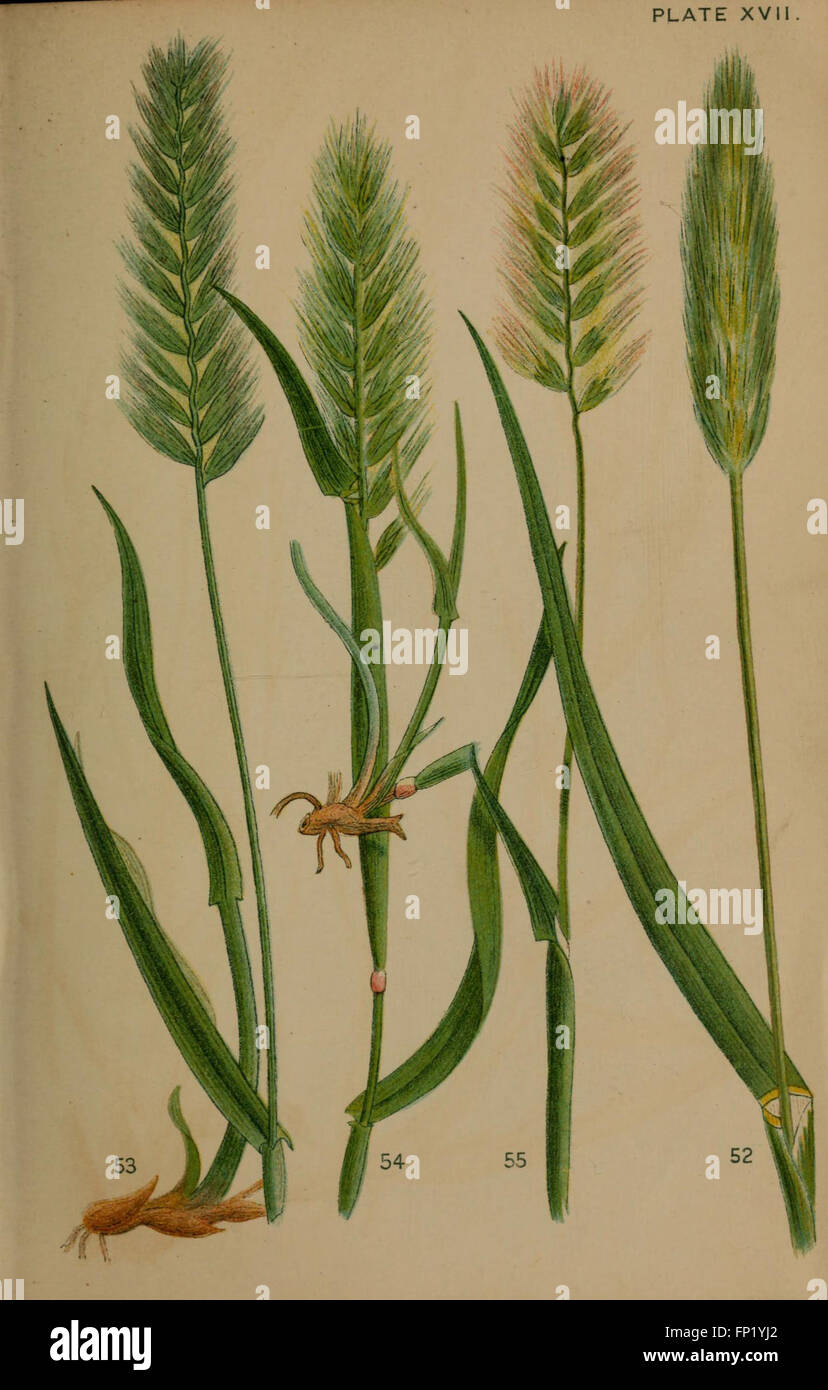 This manual provides detailed descriptions and illustrations of British ...