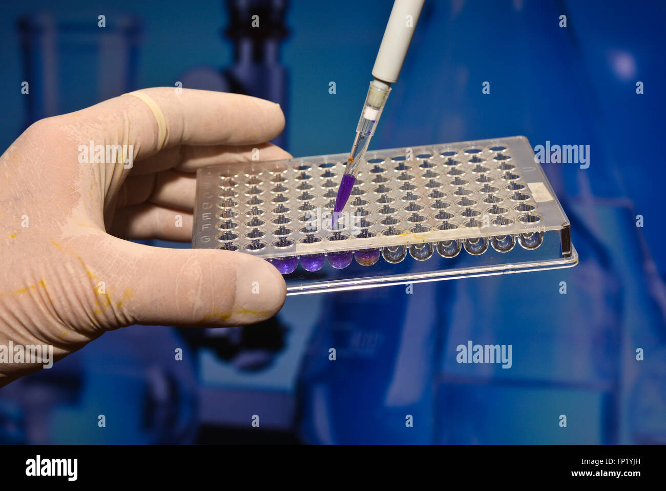 Well plate in the lab. Scientific research in the modern biological ...