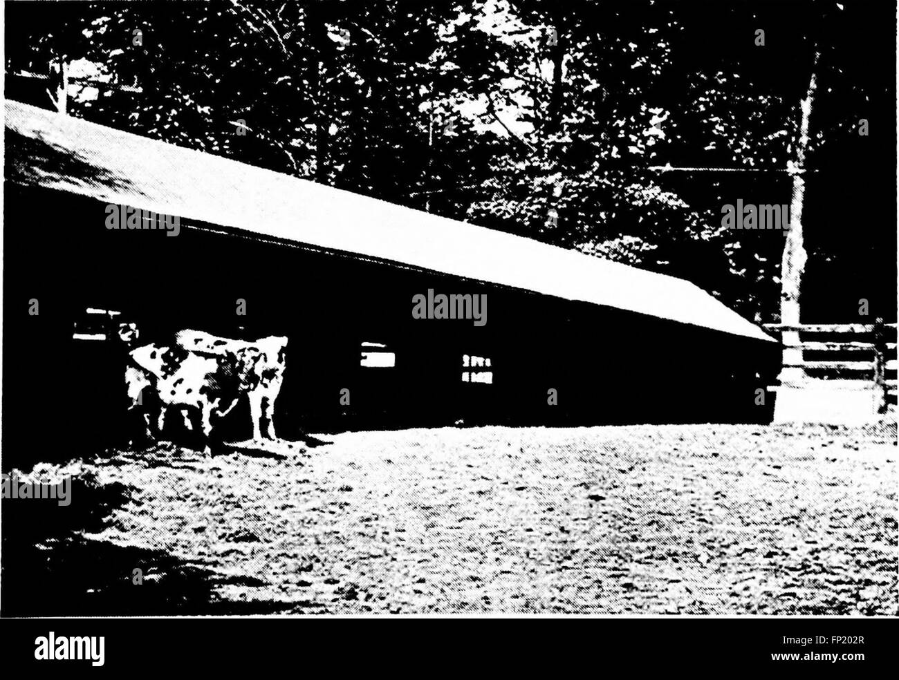 Manure pit hi-res stock photography and images - Alamy