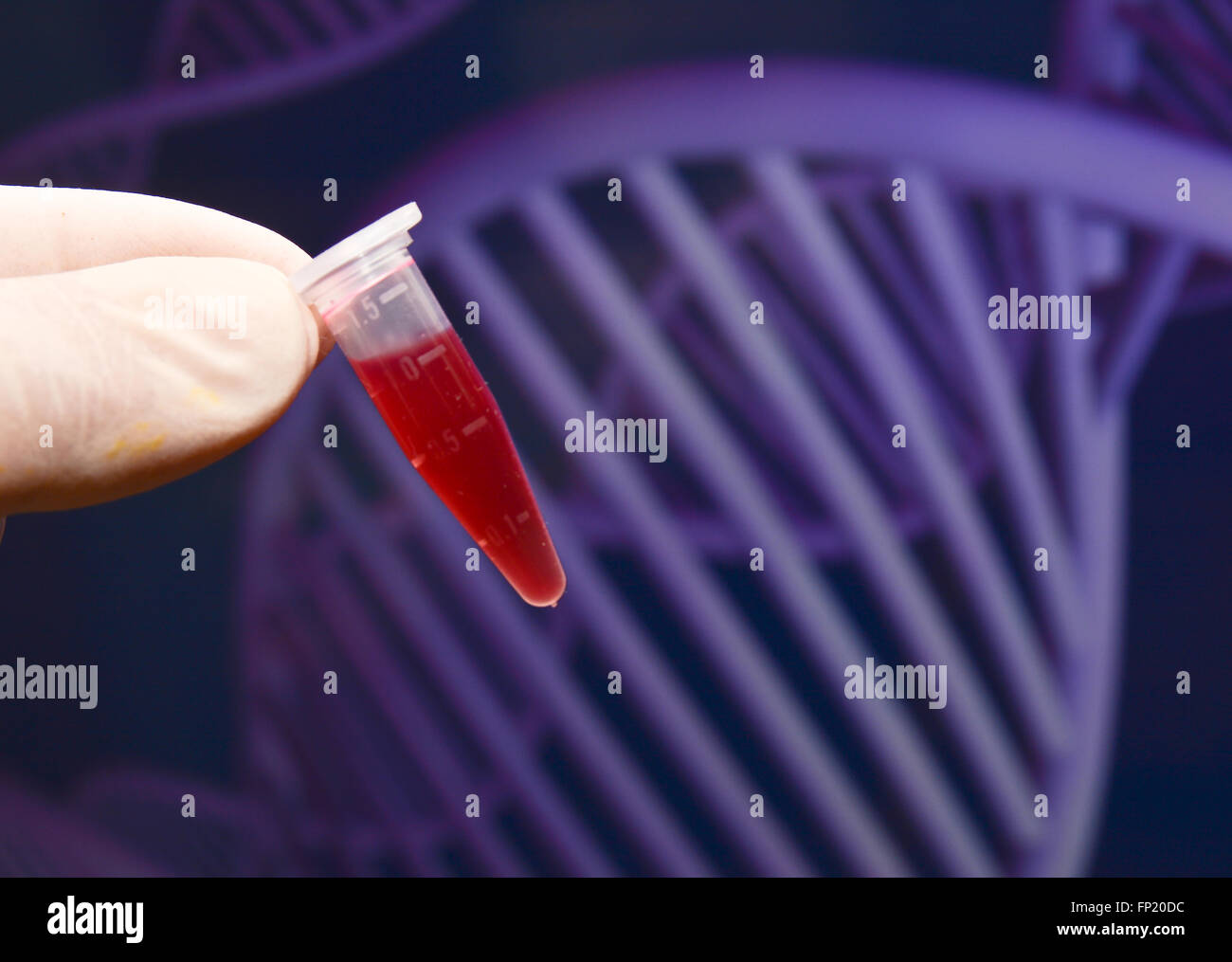 The tube of blood. The study of human blood in medical labs Stock Photo ...